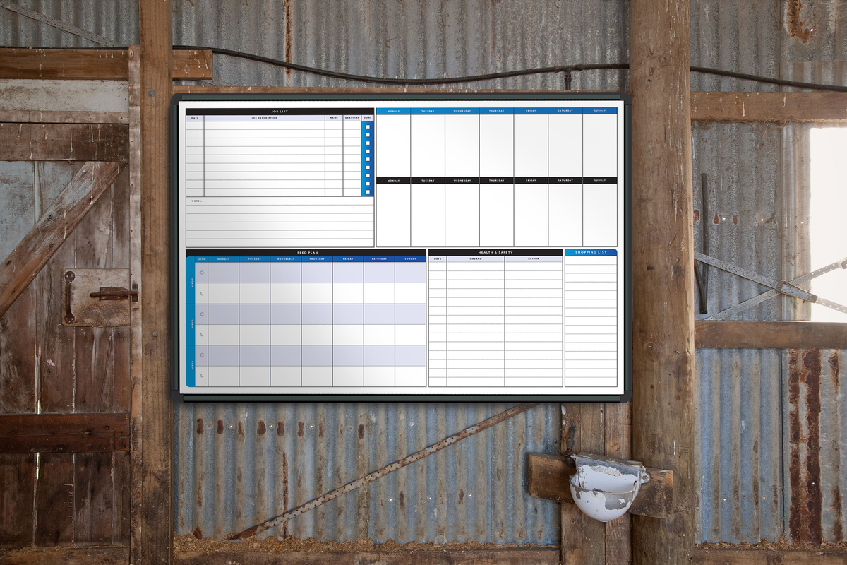 Custom Planner Grid VizLink Whiteboard #56 – VizLink Visual Communication